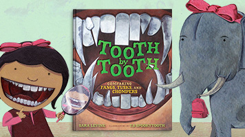 Tooth by Tooth: Comparing Fangs, Tusks, and Chompers